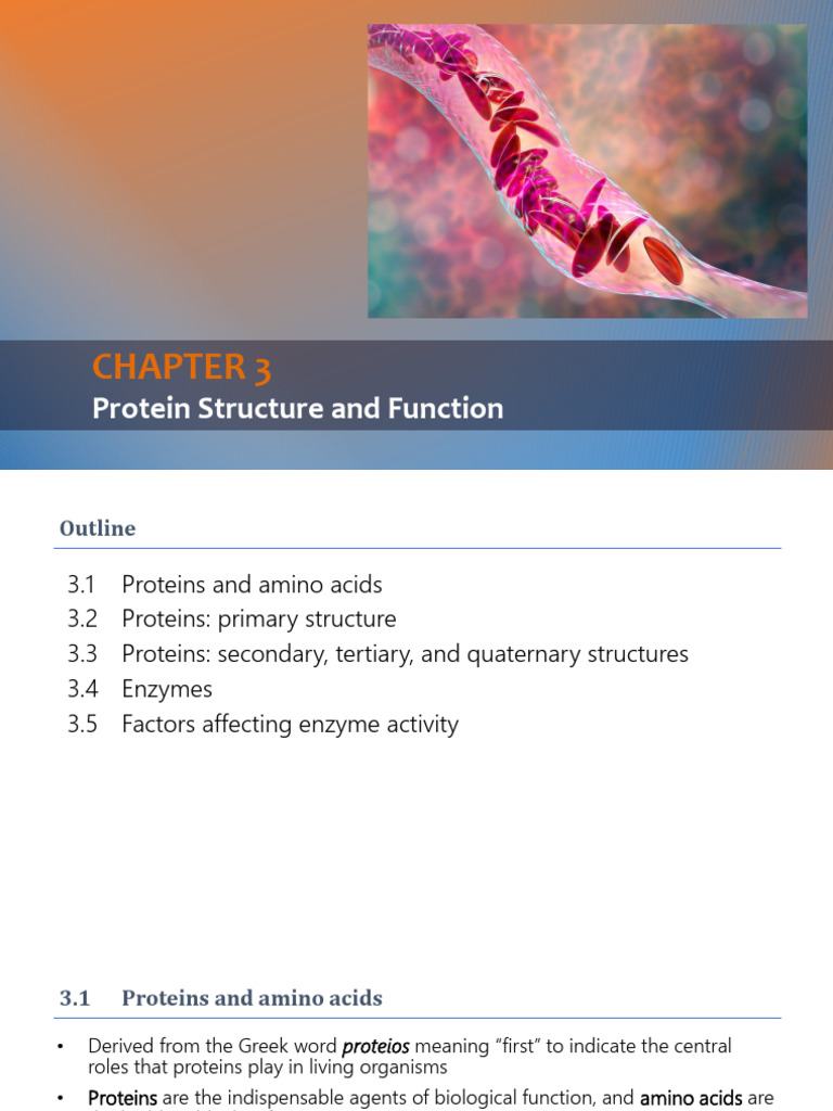 Chapter 3 - Protein Structure and Function | PDF