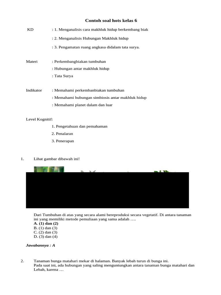 Contoh Soal Hots Kelas 6 | PDF