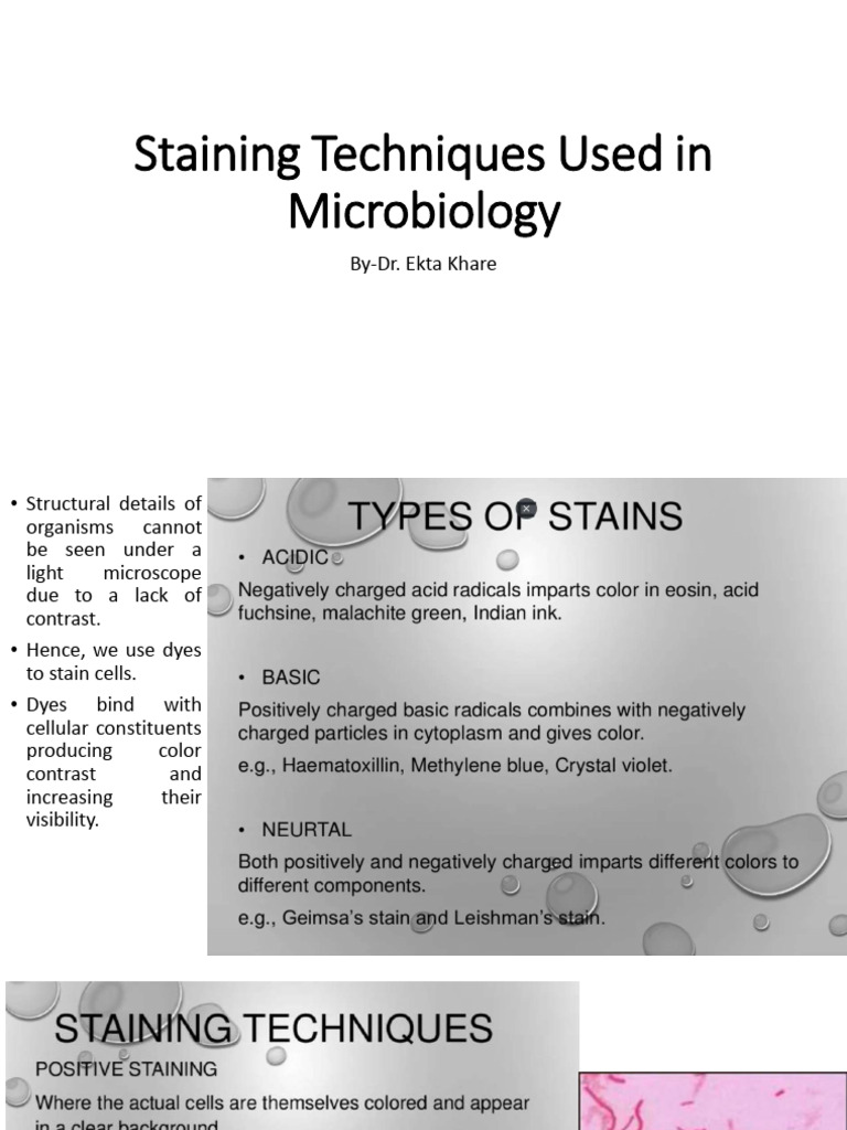 Staining Techniques Used in Microbiology | PDF