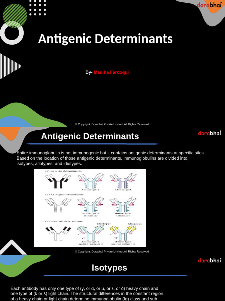 Lec Antigenic Determinants | PDF