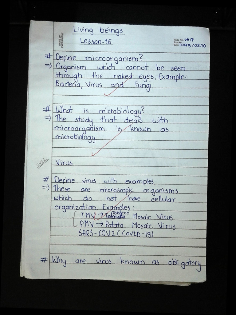 MicroOrganism D8 | PDF