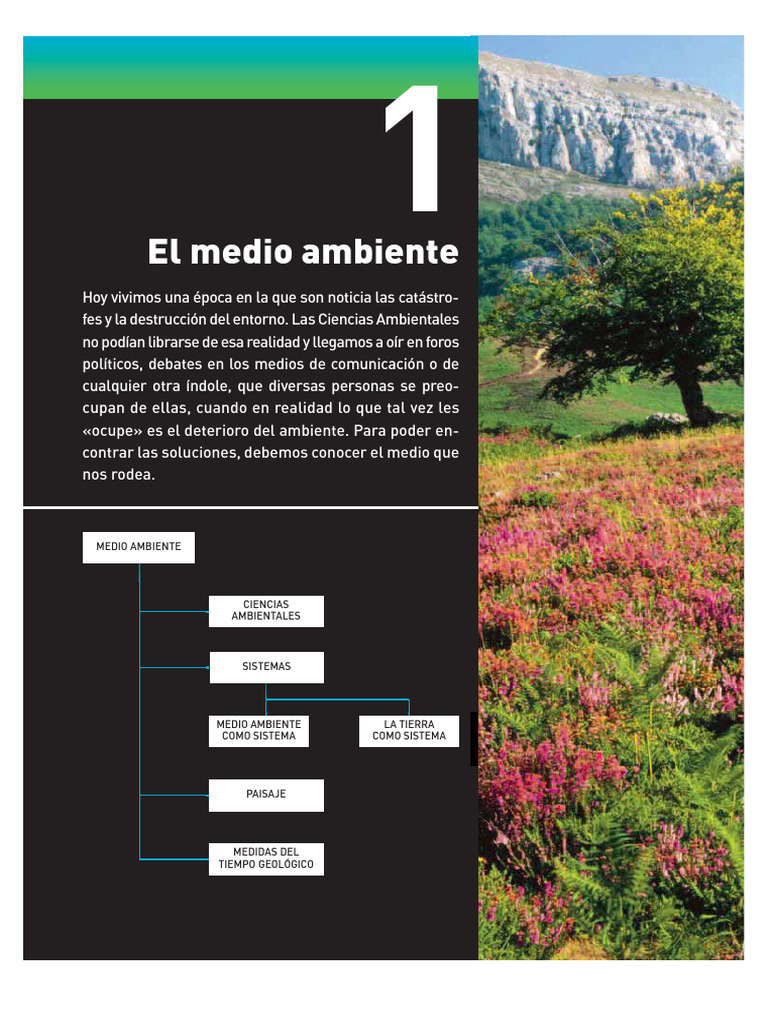 Unidad 1 - El Medio Ambiente | PDF | Entorno natural | Ecología