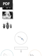 Tabela Geap 2025 | PDF