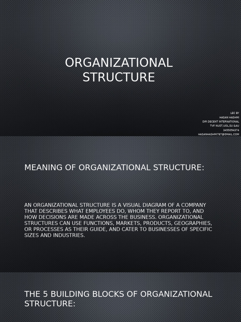 4 - Org Structure | PDF | Organizational Structure | Marketing