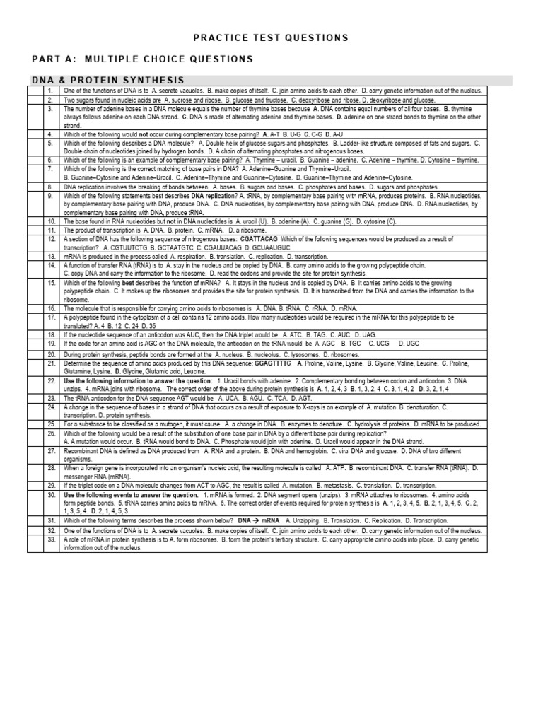 Practice Test Questions DNA Protein Synthesis | PDF