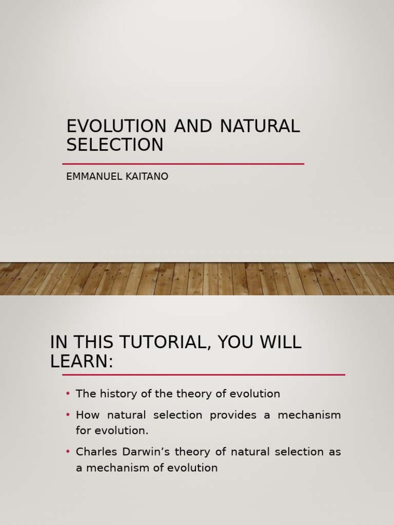 Natural Selection Tutorial | PDF