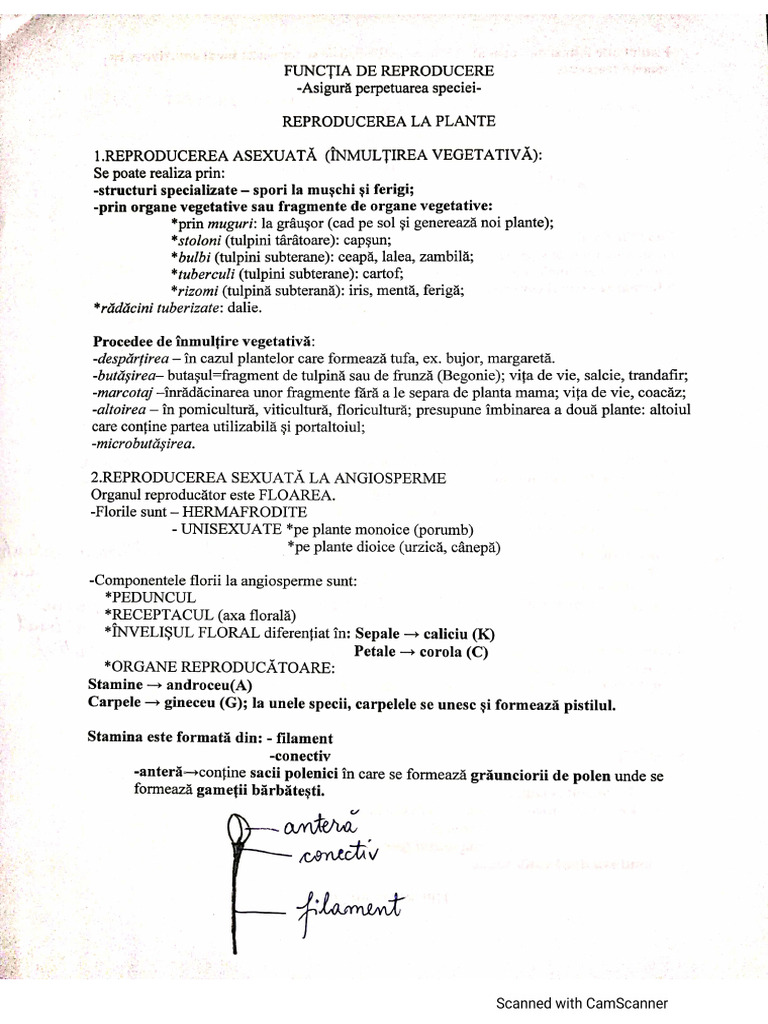 Funcția de Reproducere Clasa A 10-A | PDF