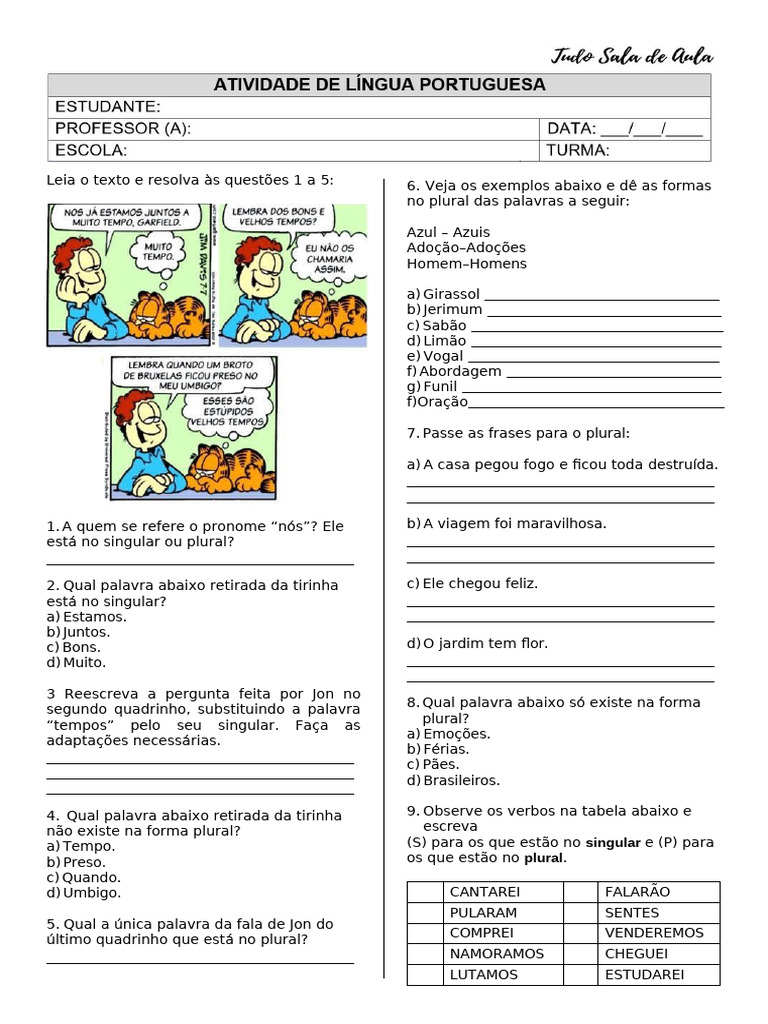 Atividades de Singular e Plural 2º Ano | PDF | Plural | Famílias linguísticas