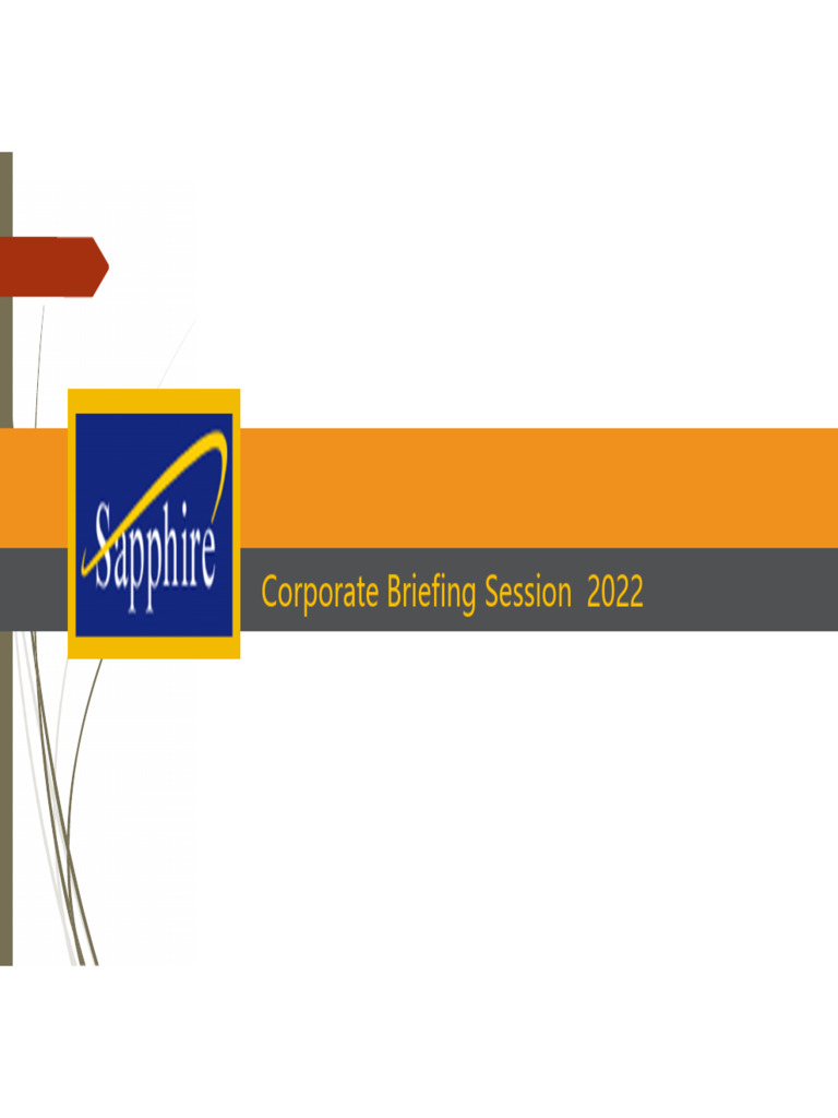 Sapphire Textile Mills Limited Corporate Briefing 2022 | PDF | Equity ...