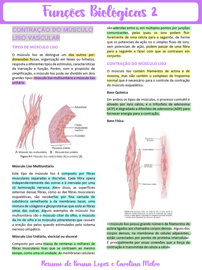 Tutoria 4 - FB2 | PDF