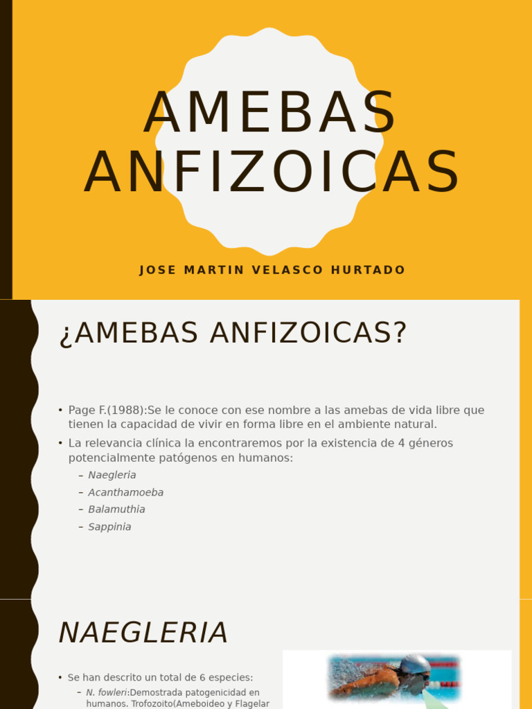 Amebas Anfizoicas | PDF