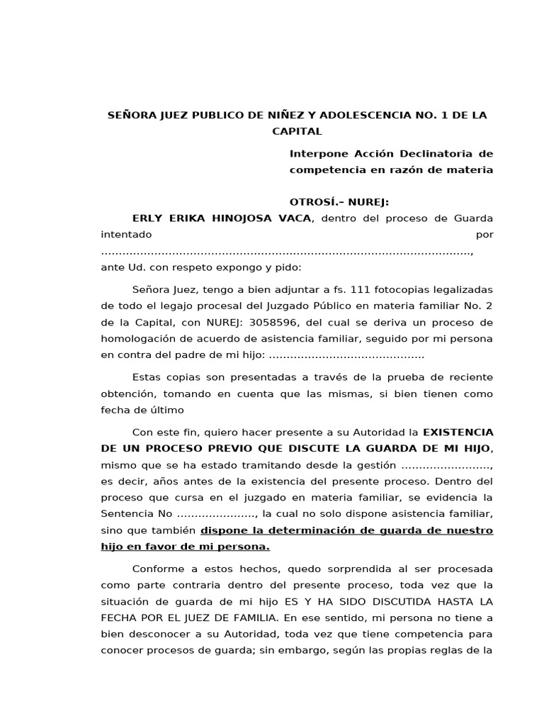 MEMORIAL ERLY ERIKA HINOJOSA Declina Competencia | PDF