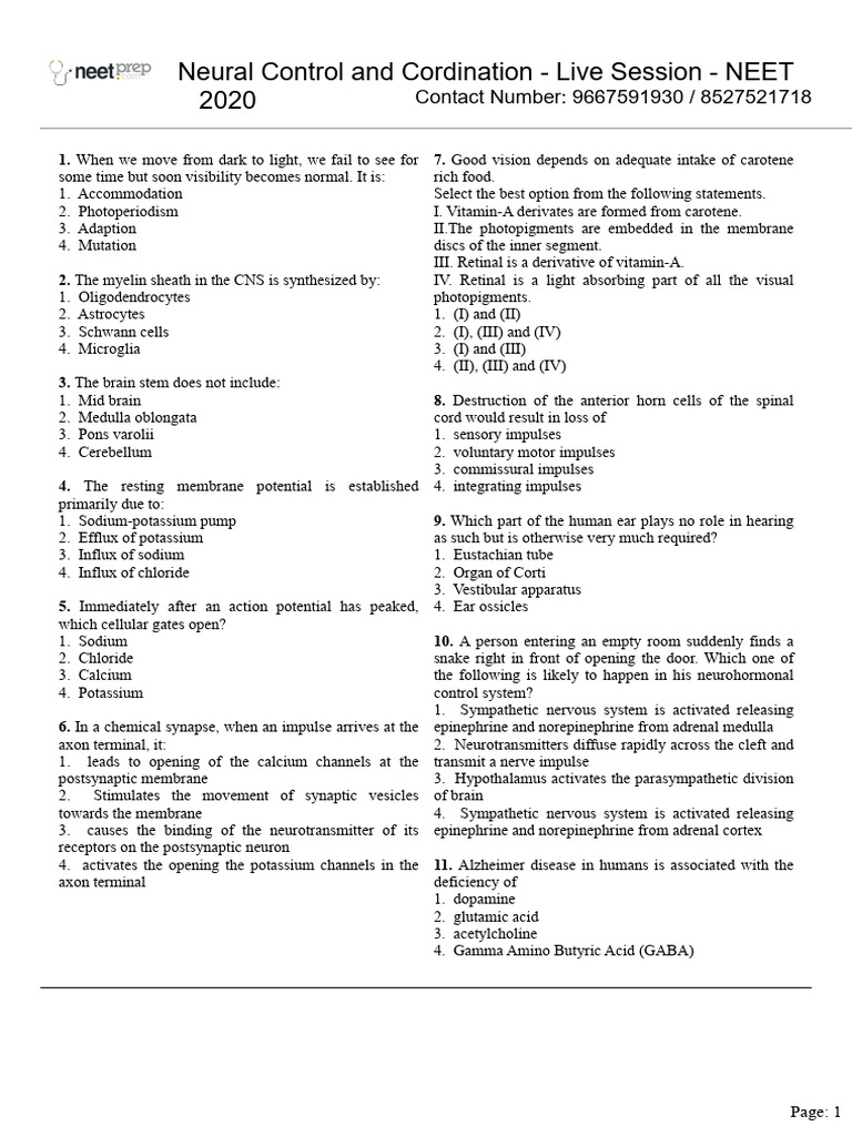 Neural Control and Cordination - Live Session - NEET 2020 | PDF