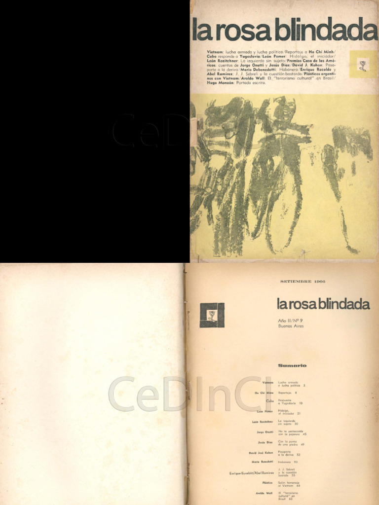 LaRosaBlindada n9 | PDF