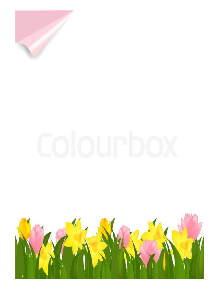 Tulip Boarder | PDF