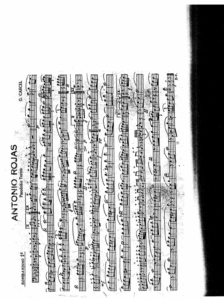 Antonio Rojas- Guzman Carcel | PDF