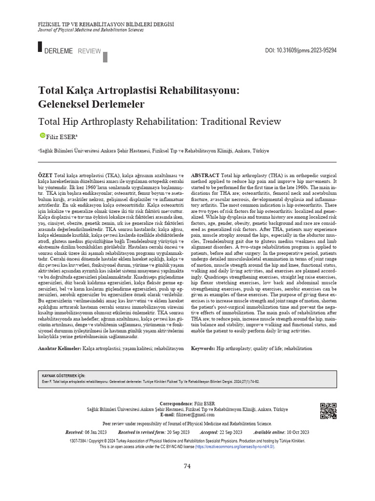 Kalça Anatomi | PDF
