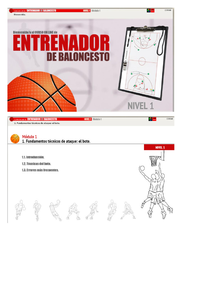 modulos fiba | PDF