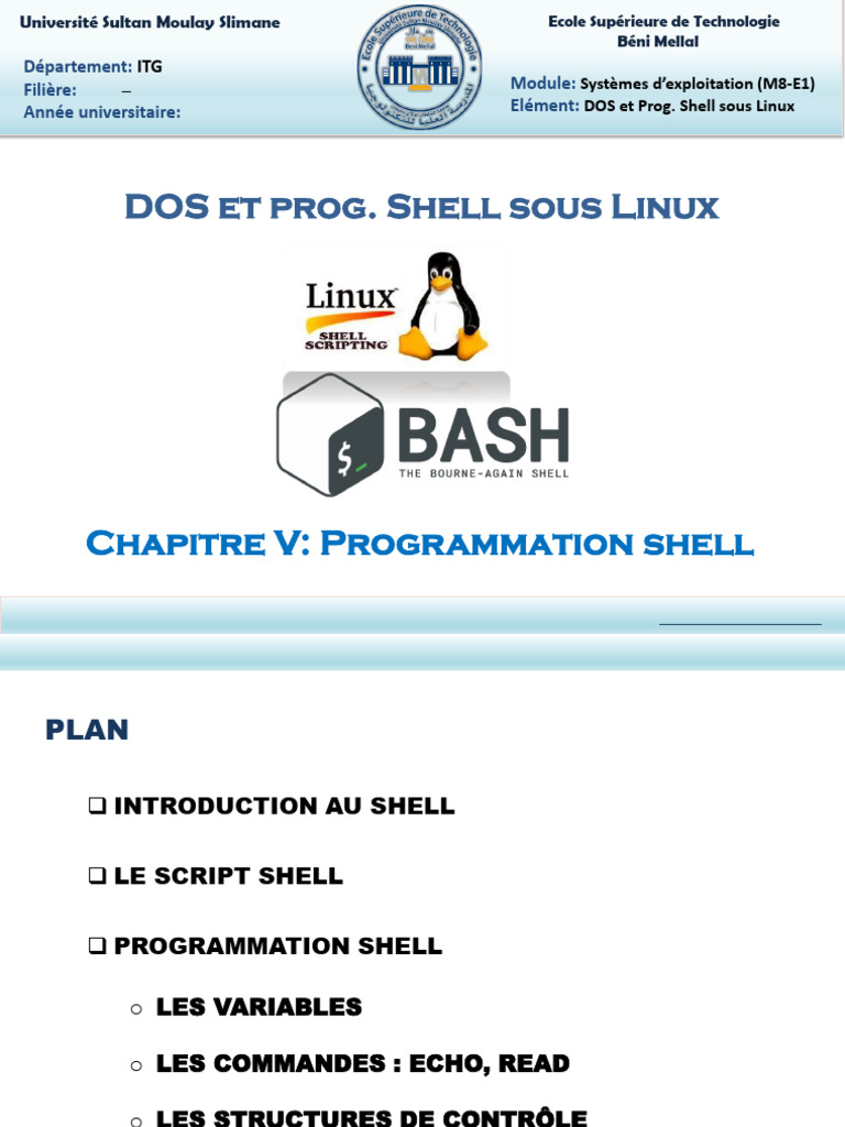 Cours DOS-Linux-Chapitre 5 - Programmation Shell | PDF