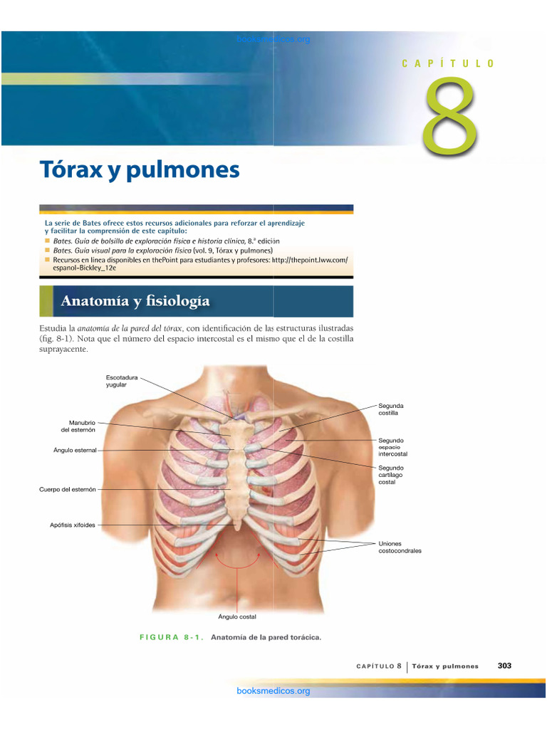 Exploración del Tórax y Pulmones | PDF | Tos | Pulmón