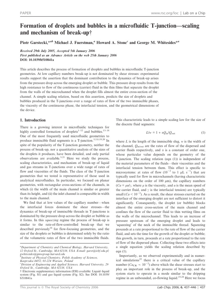 Garstecki and Fuerstman | PDF