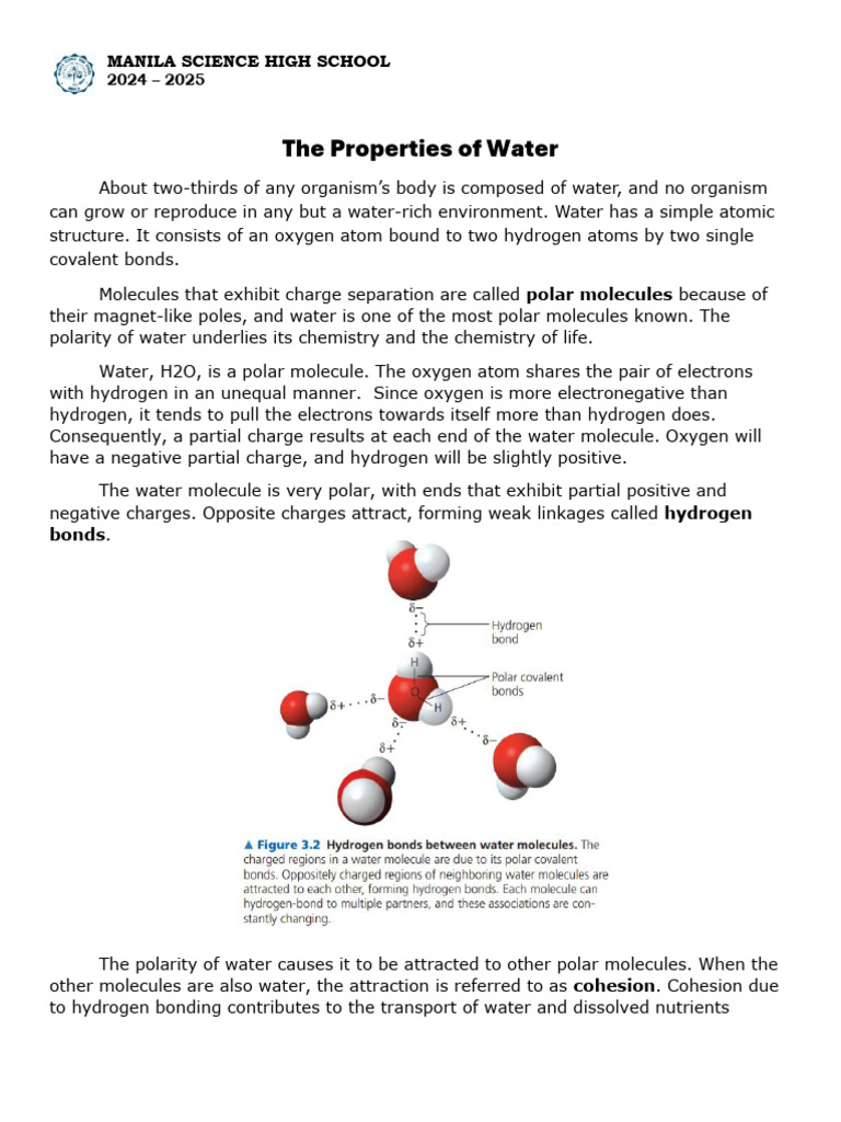 Properties of Water Notes | PDF