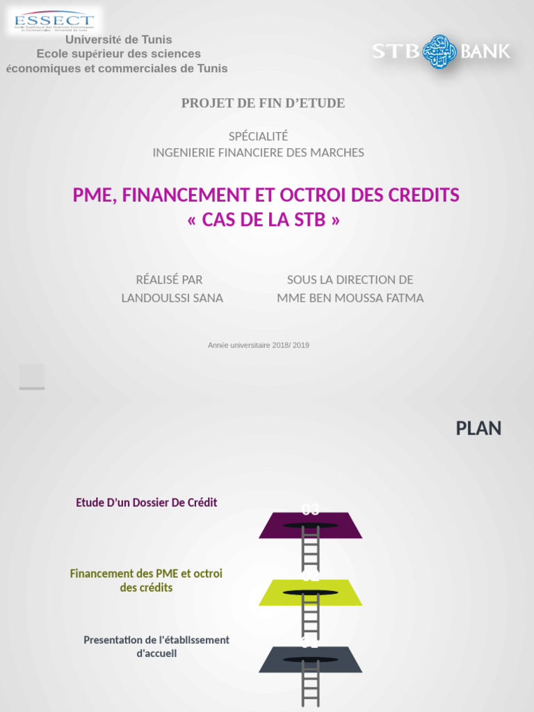 Pme, Financement Et Octroi Des Credits Cas de La STB : Projet de Fin D ...