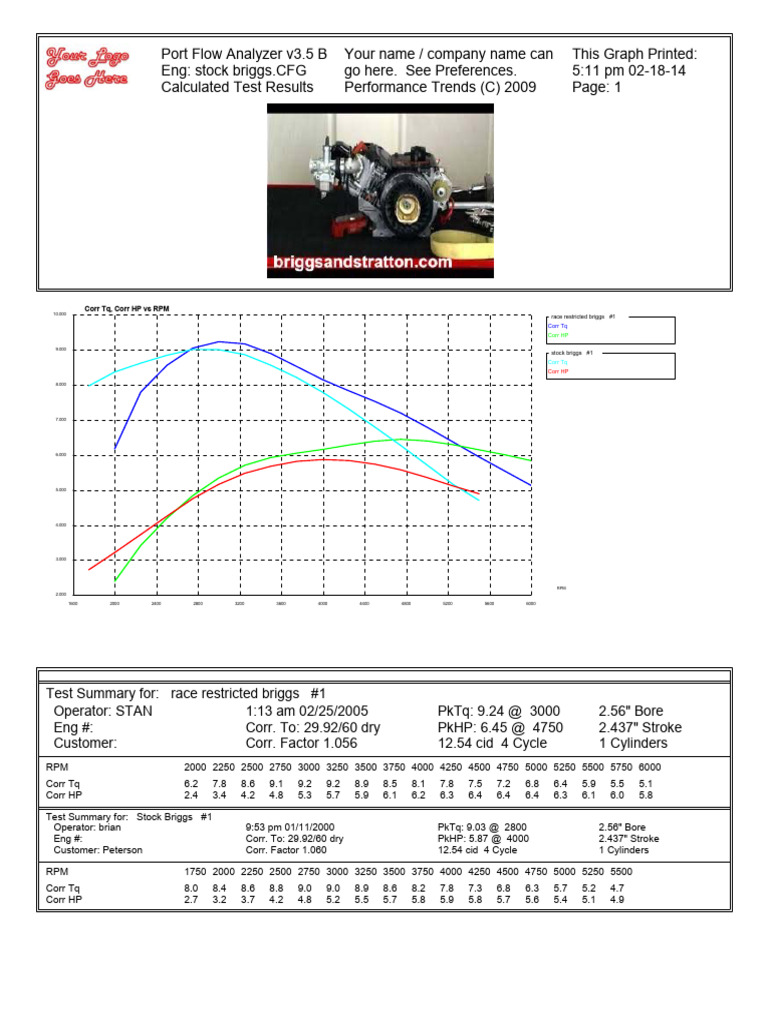 Dyno DataMite Graph Printing | PDF
