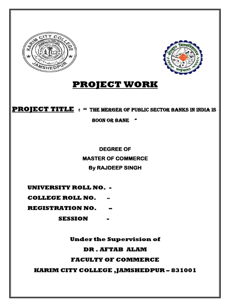 Rajdeep Project work (9) | PDF