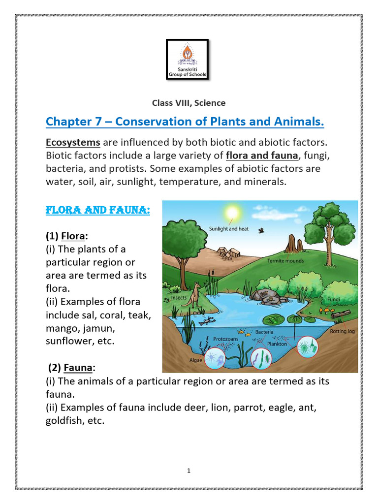 L 7-Conservation of Plants and Animals. | PDF | Soil | Deforestation