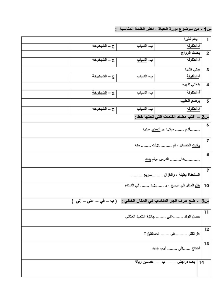 Revision Final Exam S3 | PDF