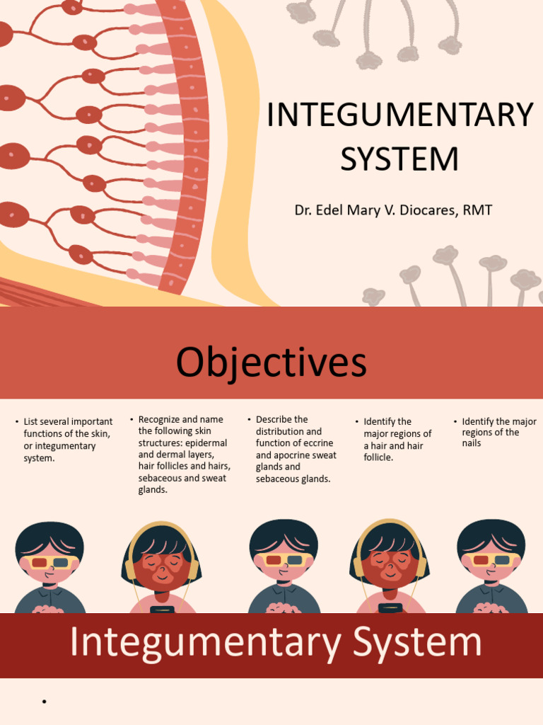 CHAPTER-4-INTEGUMENTARY-SYSTEM (1) | PDF