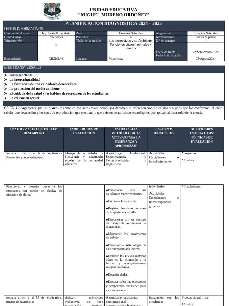 PLANIFICACIÓN DIAGNOSTICA 9no | PDF