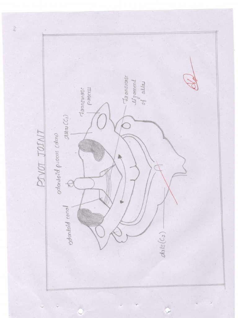 Pivot Joint Diagram and Matter | PDF