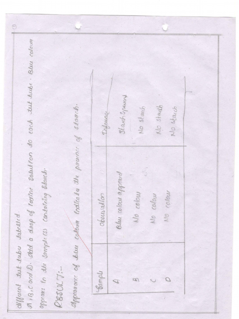 Physiology Experiments | PDF