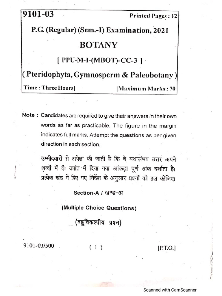 2021paper-3 Sem1 | PDF