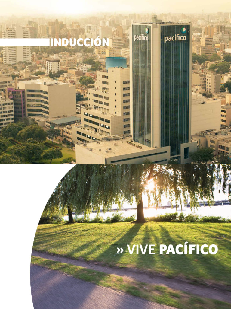 Induccion | PDF