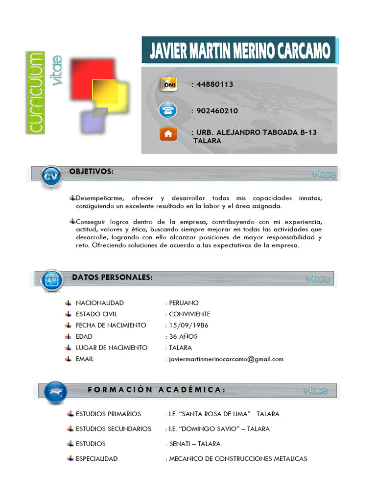 Curriculum Vitae Javier Merino Carcamo | PDF