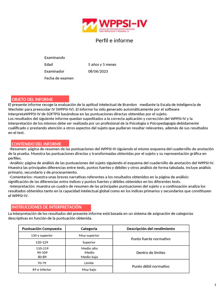 Informe Wppsi | PDF