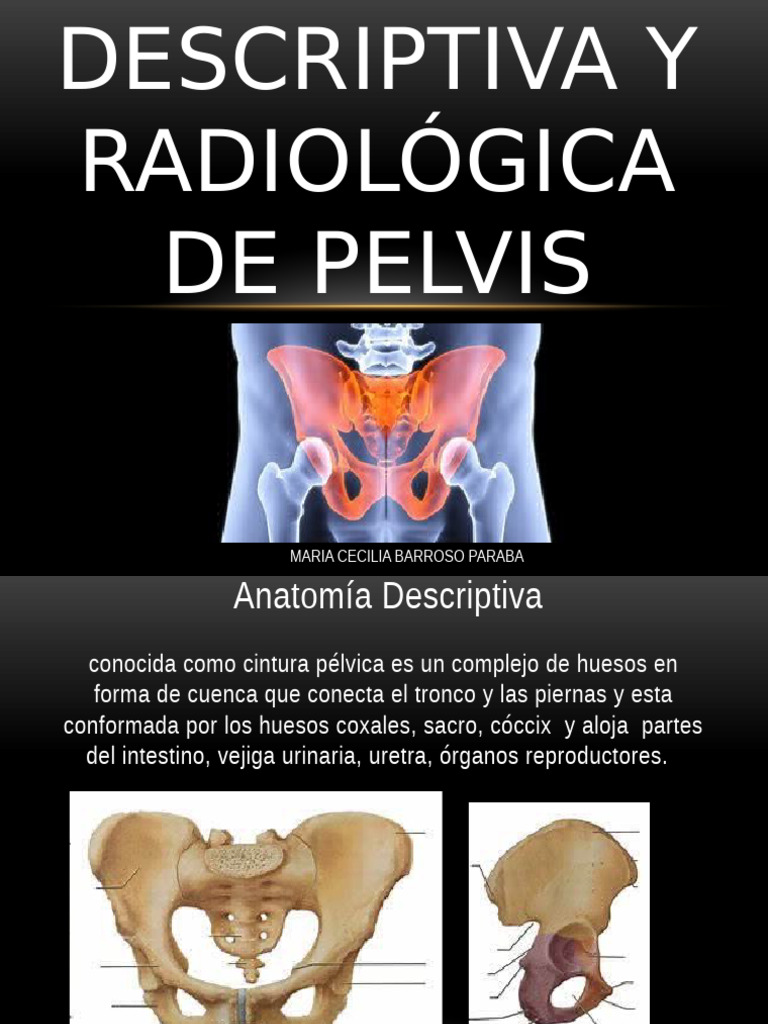 Anatomía Radiológica de Pelvis | PDF
