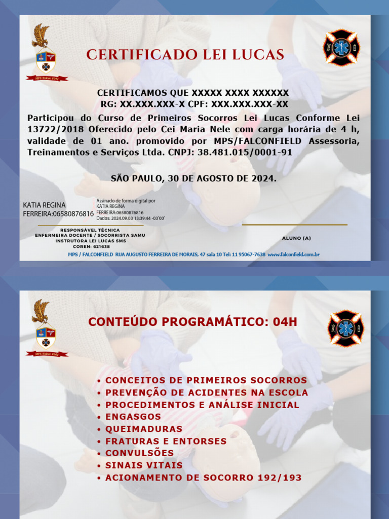 Certificado Lei Lucas A4 Ass | PDF