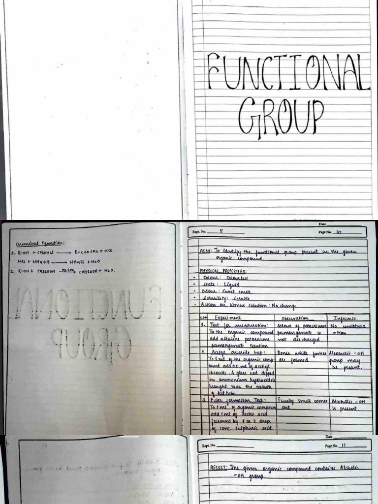 Functional Group | PDF