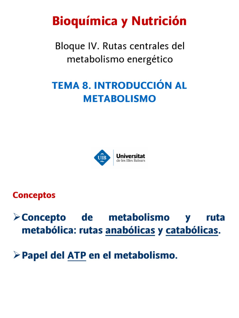 Tema 8 | PDF