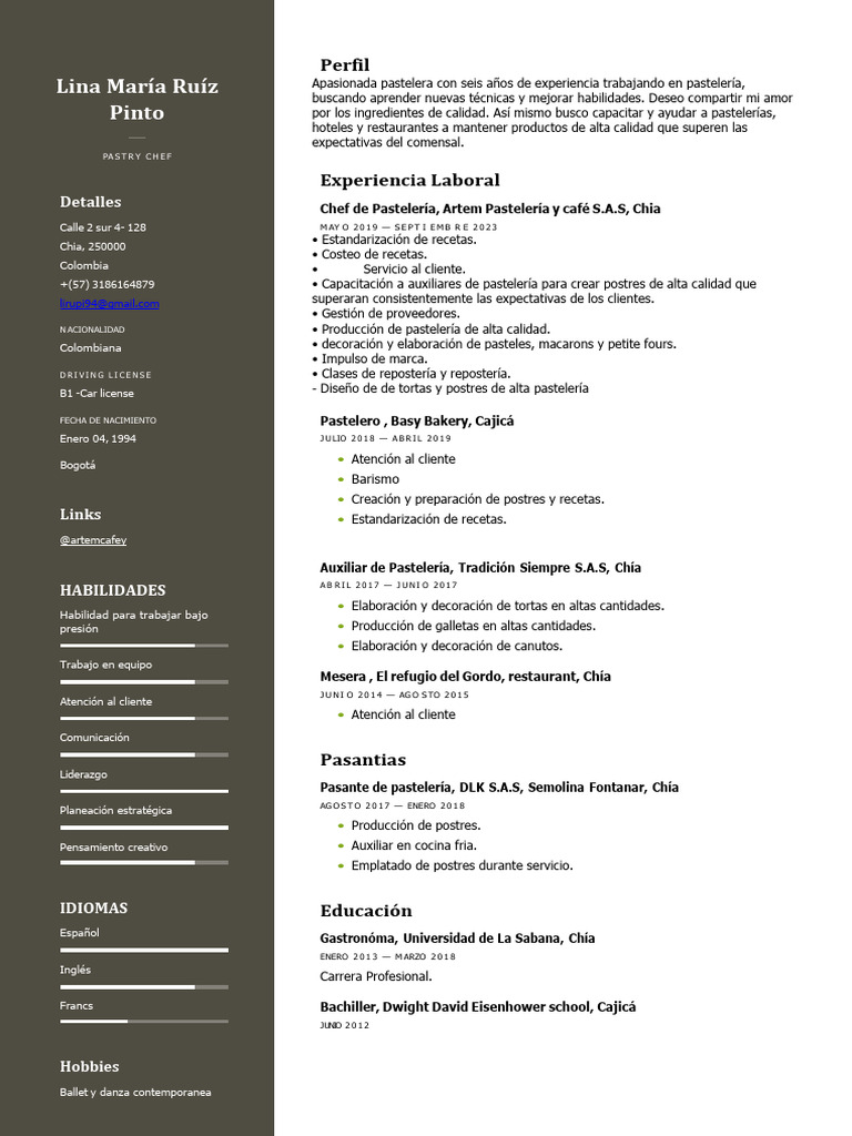 Lina María Ruíz Pinto Cv-1 | PDF