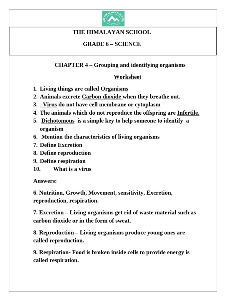 Grade 6 chp 4 worksheet 1 | PDF