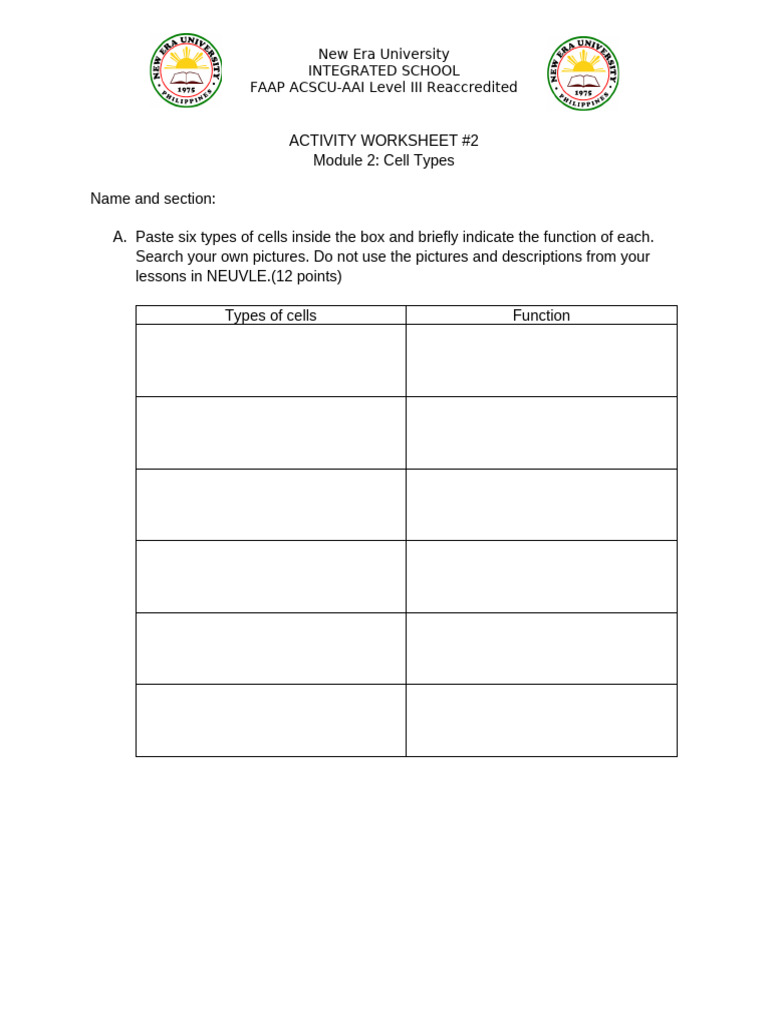 2-Activity Worksheet | PDF