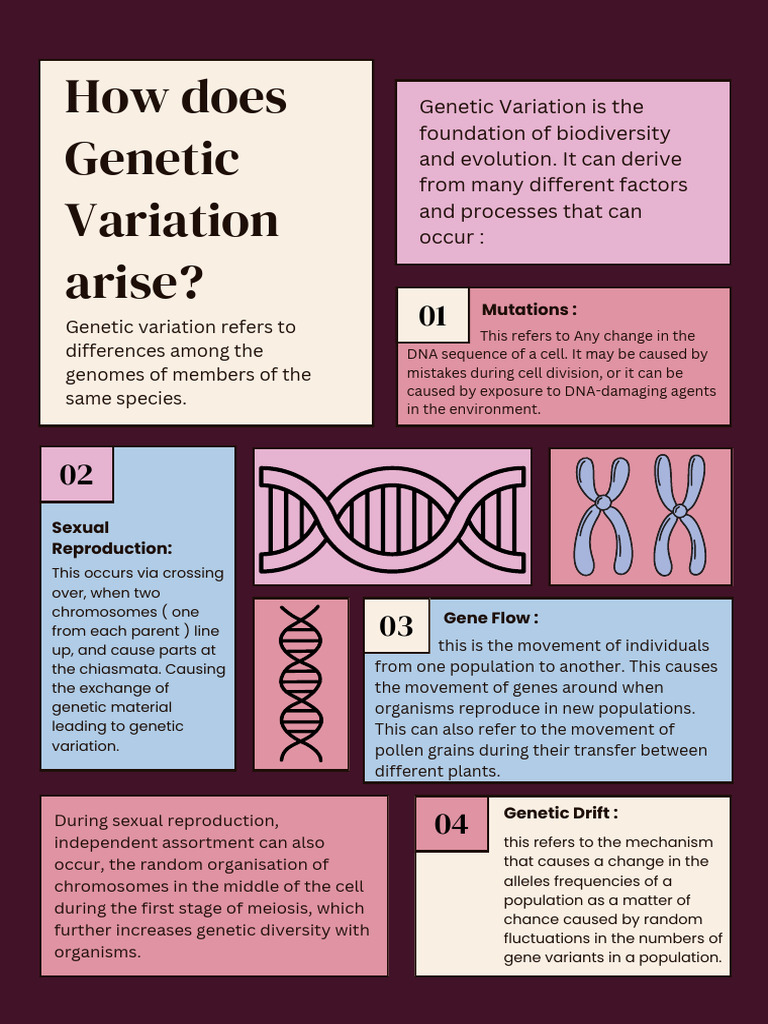 Infographic of Genetic Variation | PDF
