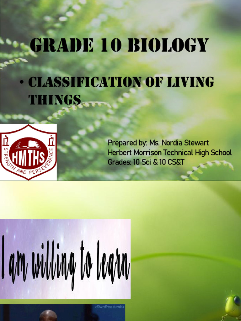 Chapter 1 Classification Pdf