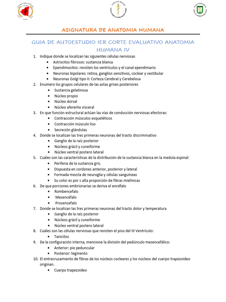 Guia de Auto Estudio Anat. IV | PDF