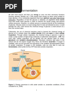 Plexos Tutorials Session-1 | PDF | Cloud Computing | Microsoft Excel